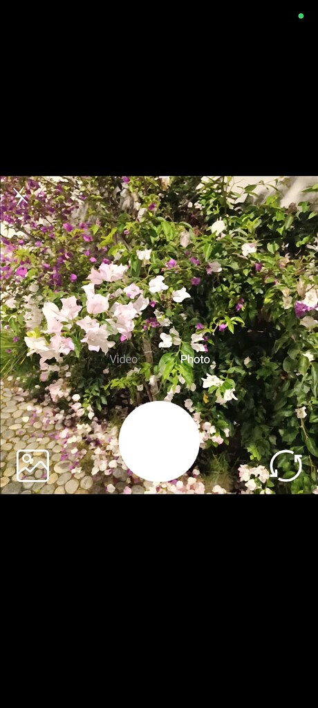 Camera - Displays the camera to take photos and record videos in an ...