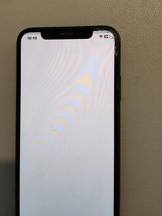 Visorweb Not Runs With The Built Ipa File App Inventor For Ios Mit App Inventor Community