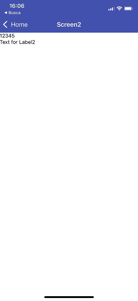 Blank screen after switching screens - App Inventor for iOS - MIT App ...