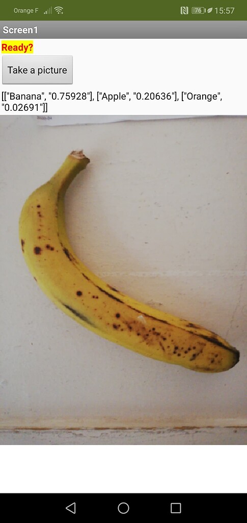 Personal image classifier display - MIT App Inventor Help - MIT App ...