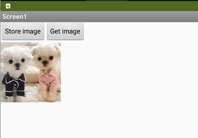 Image to CloudDB - MIT App Inventor Help - MIT App Inventor Community