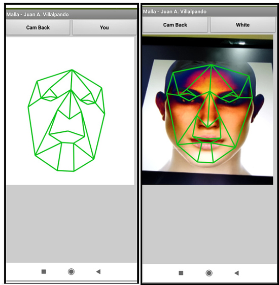 Face extension, testing (1). Facial recognition. Detect what makes your ...