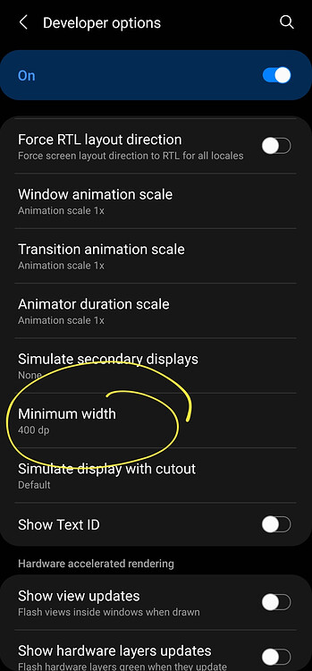 How do you change Developer options How do you change Developer options